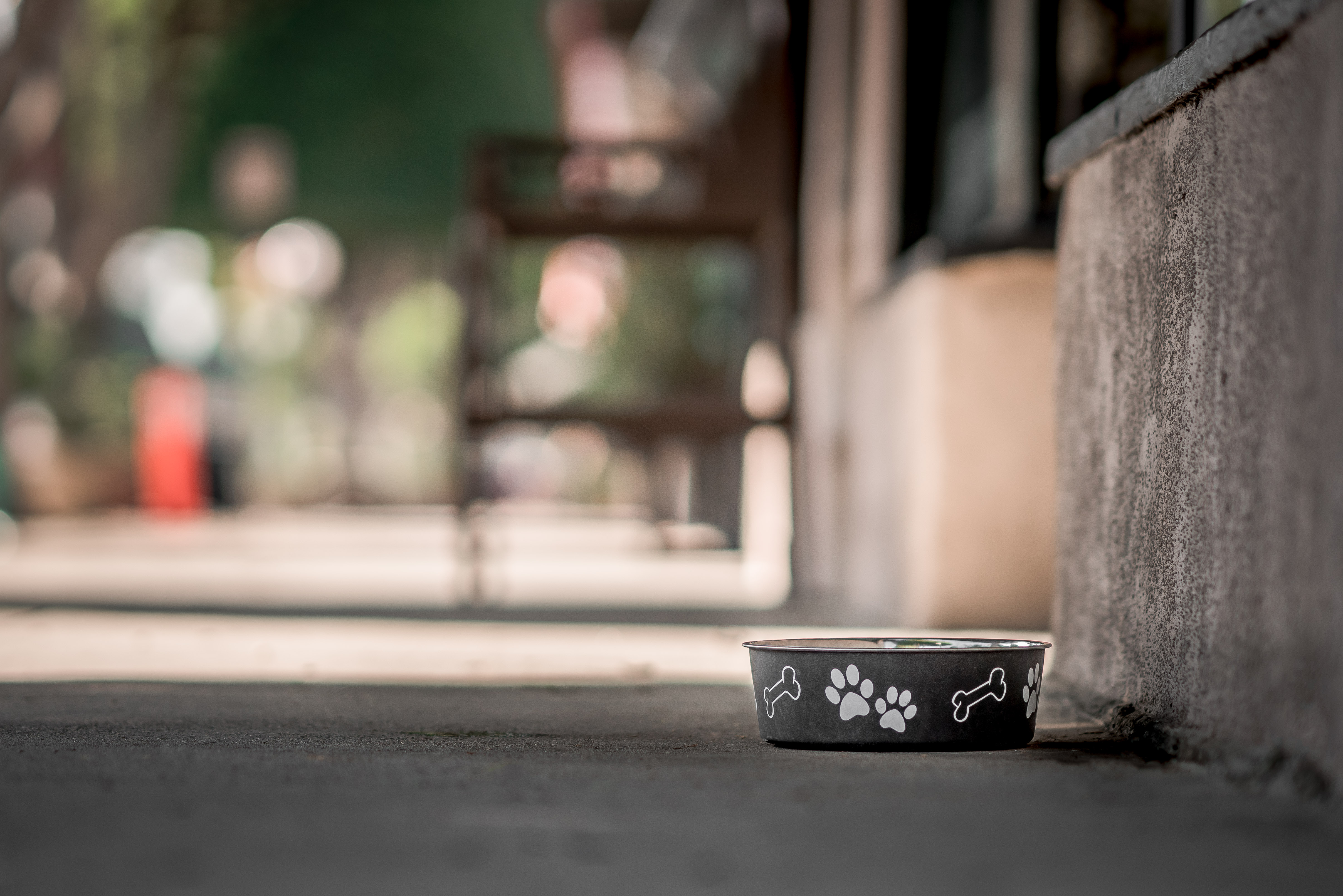 Fresh Kindness – Images from the Journey