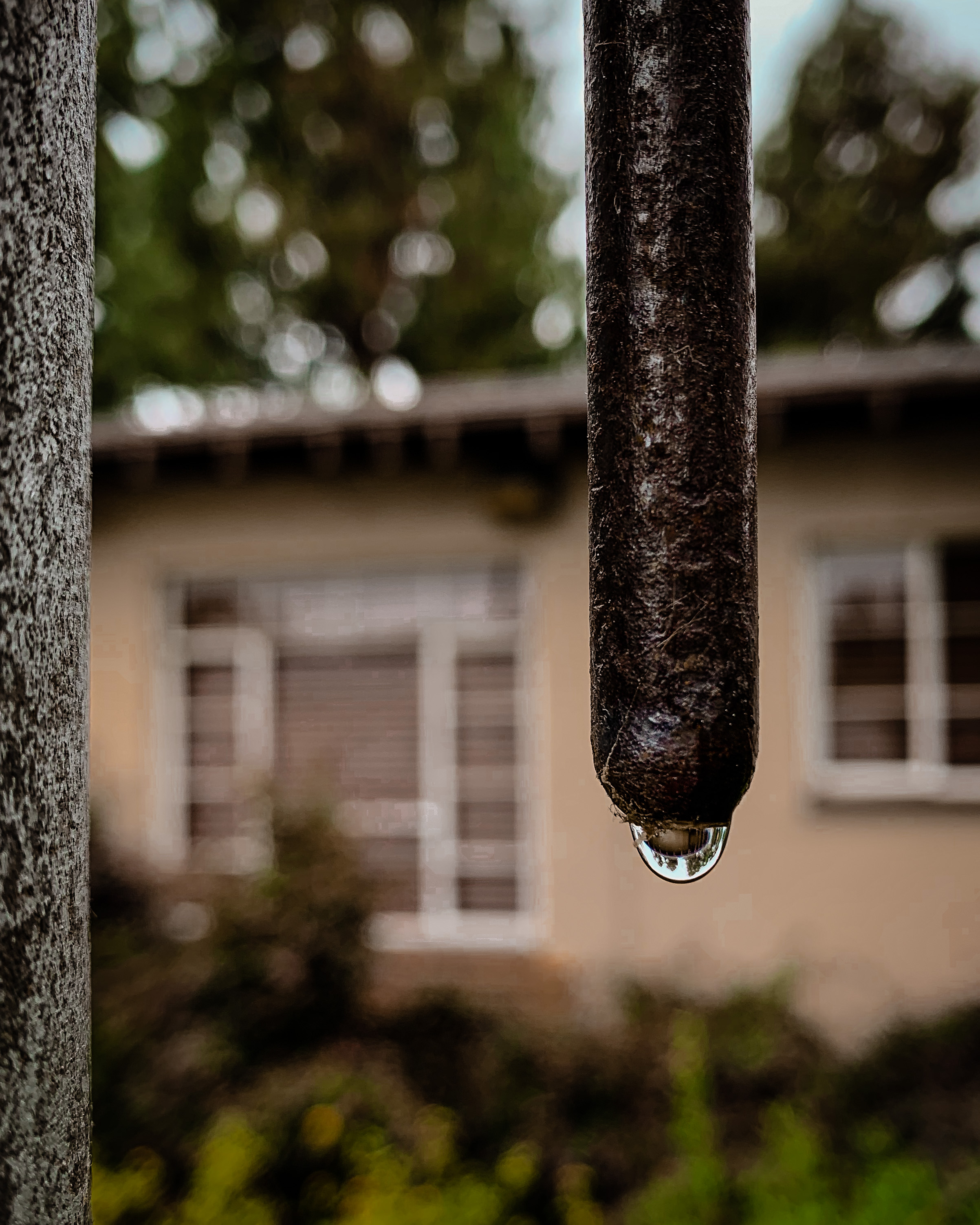 A Drizzly Morning – Images from the Journey